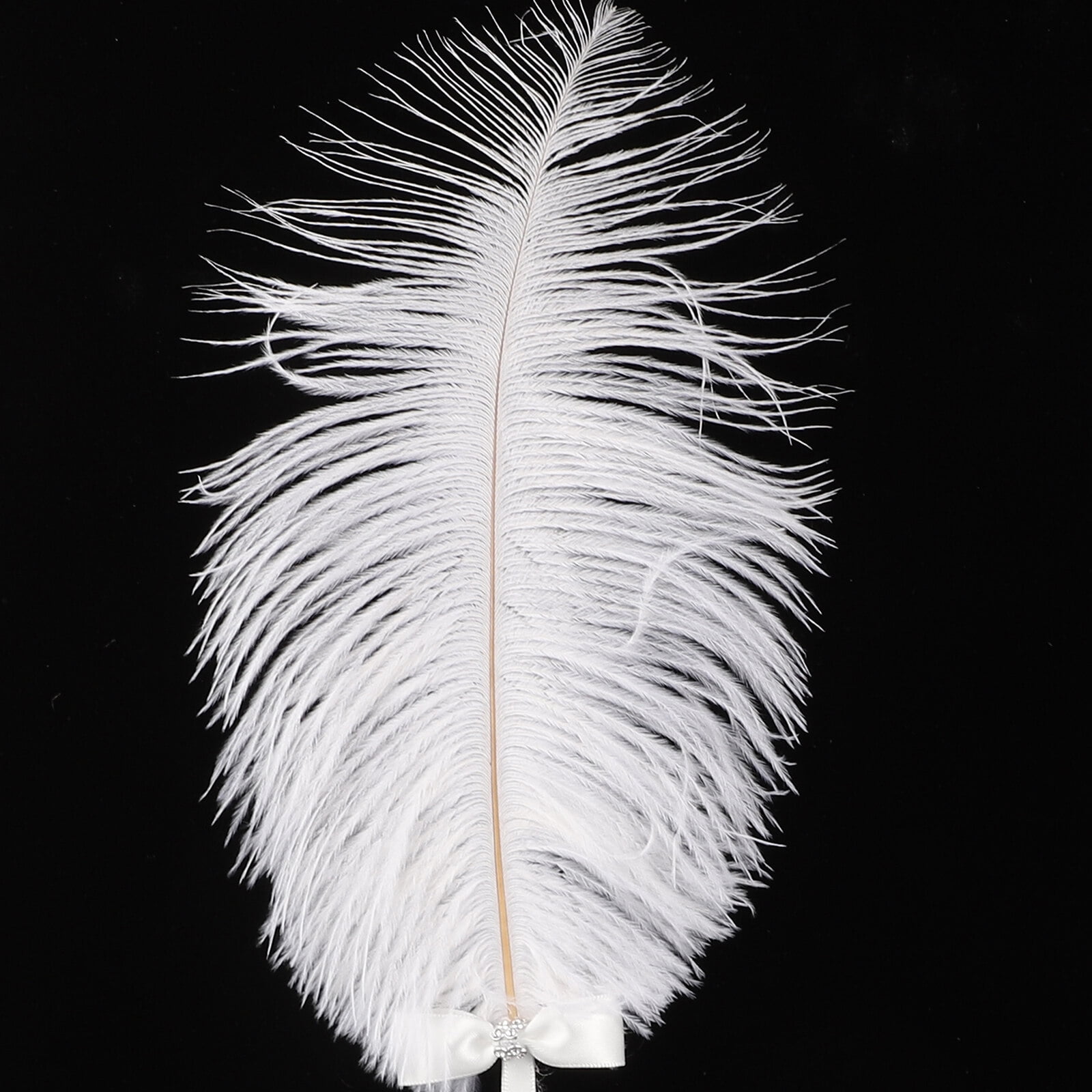NICEMAL Wedding Bridal Ostrich Feather Signing Pen with Pen Holder ...