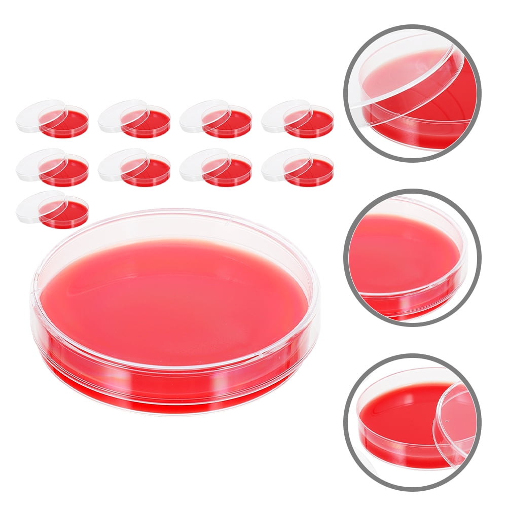 NICEXMAS 10 Pcs Lab Product Prepoured Agar Plate Bulk Culture Plates ...