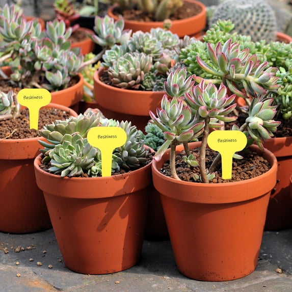 NICEXMAS 100Pcs Durable Plastic Plant Labels Yellow Garden Markers for ...