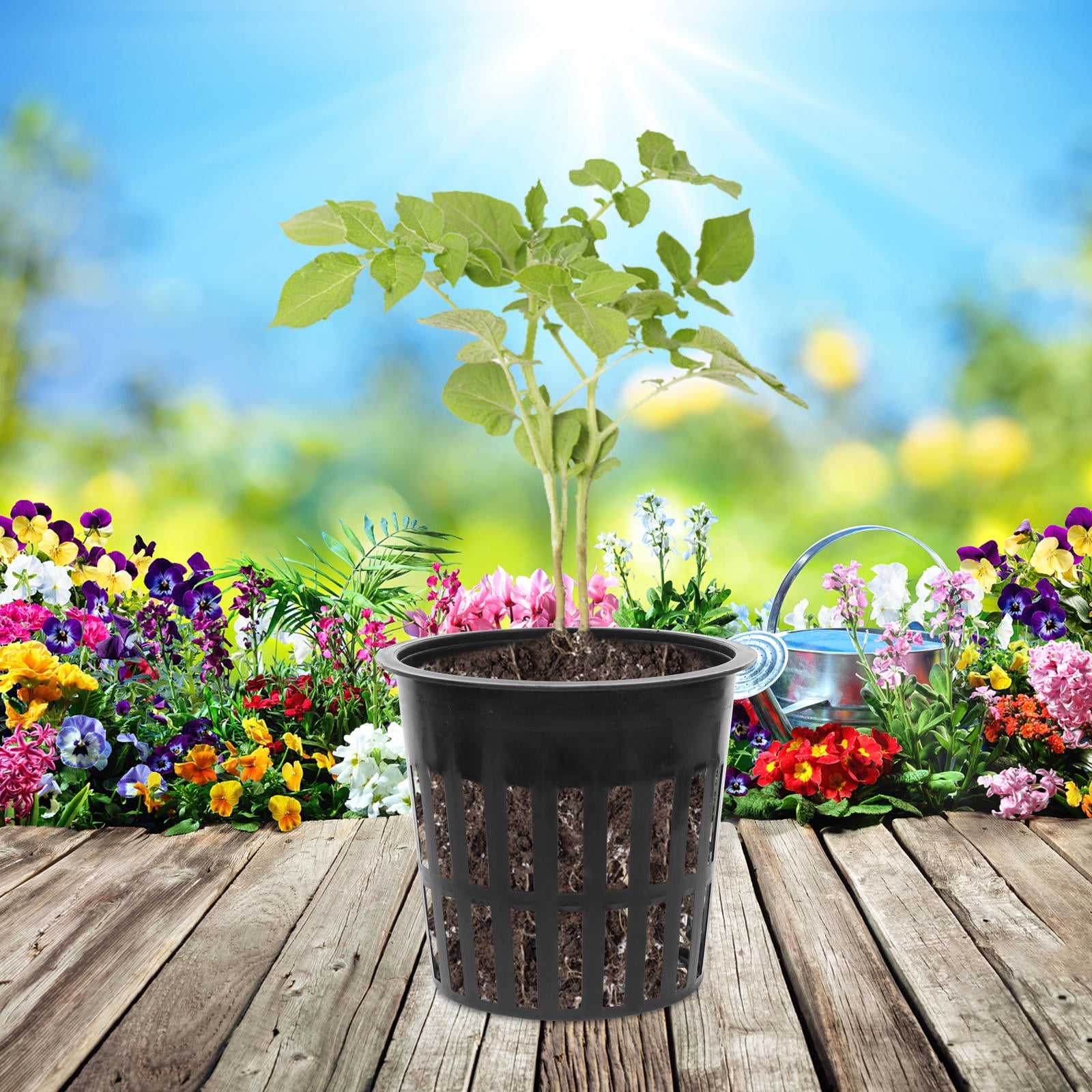 NICEXMAS 20pcs Hydroponic Grow Baskets Plant Replacement Baskets Plant ...