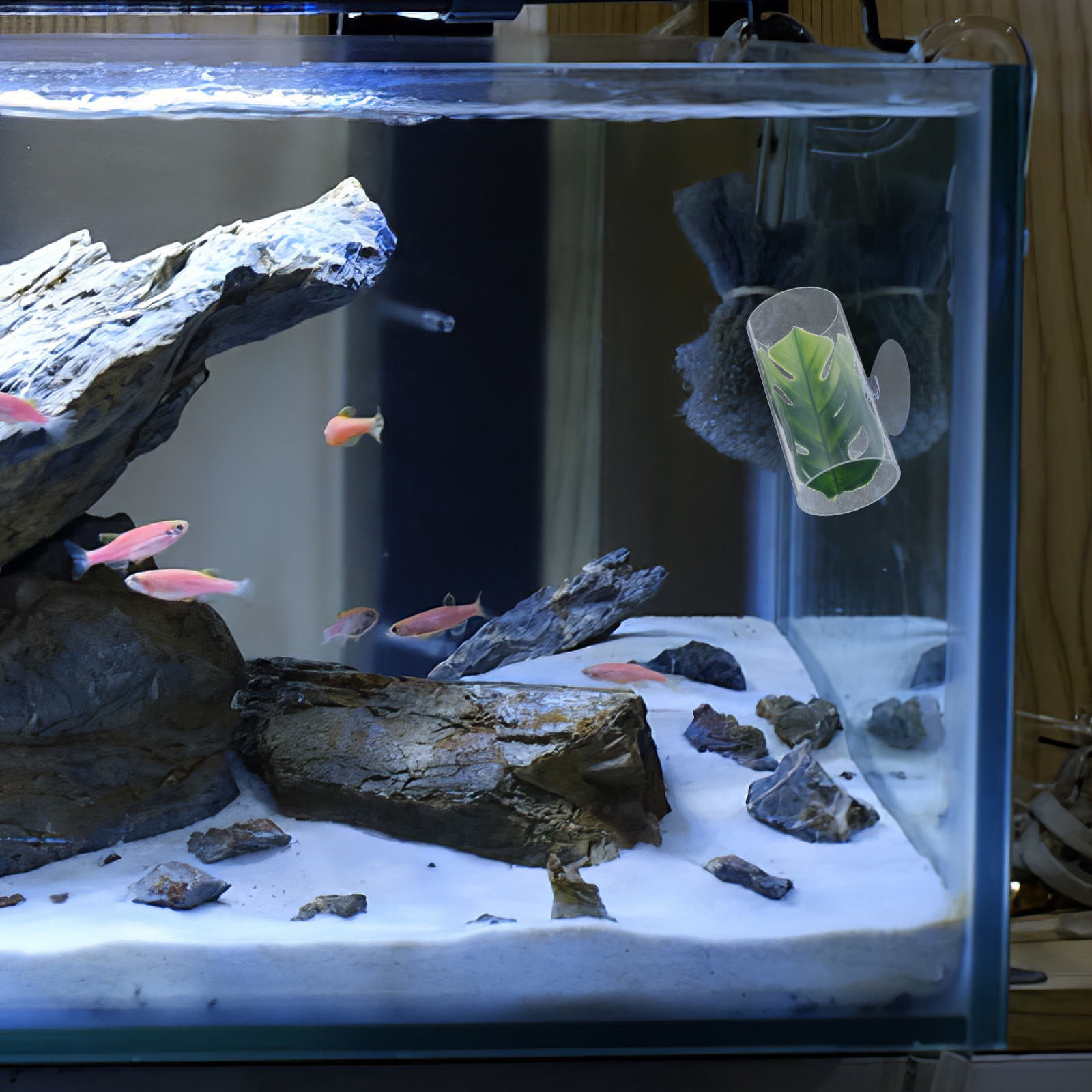 NICEXMAS Betta Fish Cave and Rest Tunnel Transparent Betta Fish Tube ...