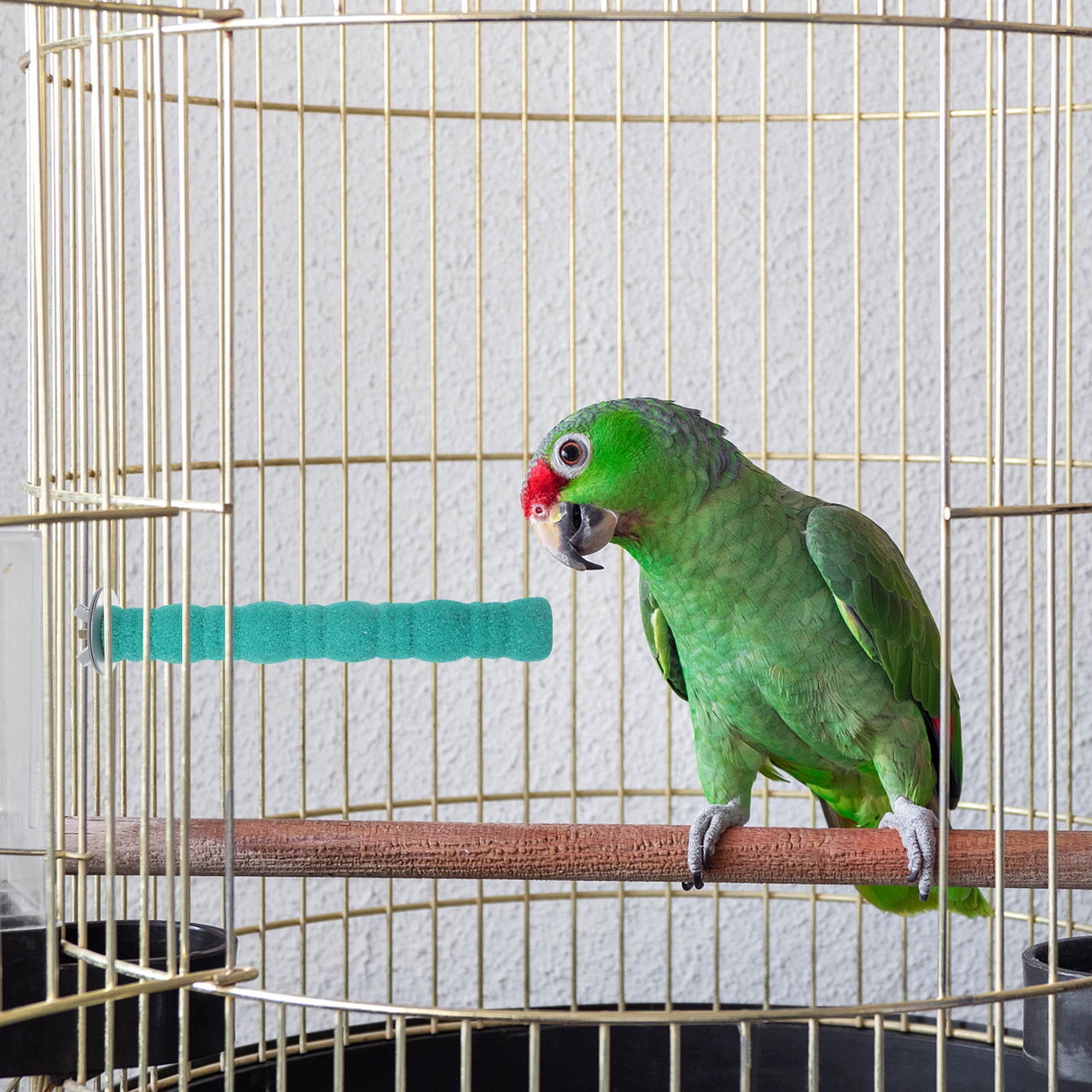 NICEXMAS Bird Perches for Parrots Synthetic Material Paw Grinding Cage ...