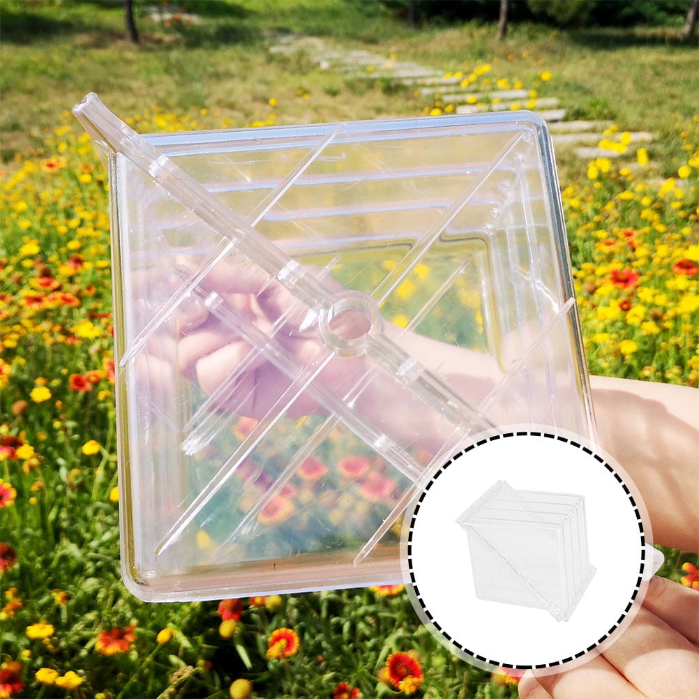 NICEXMAS Fruit Growing Molds Watermelon Shaper Suitable for Families ...