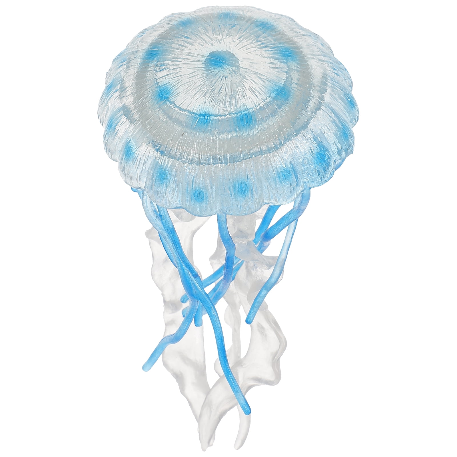 NICEXMAS Jellyfish Education Model Jellyfish Science Toy Children ...