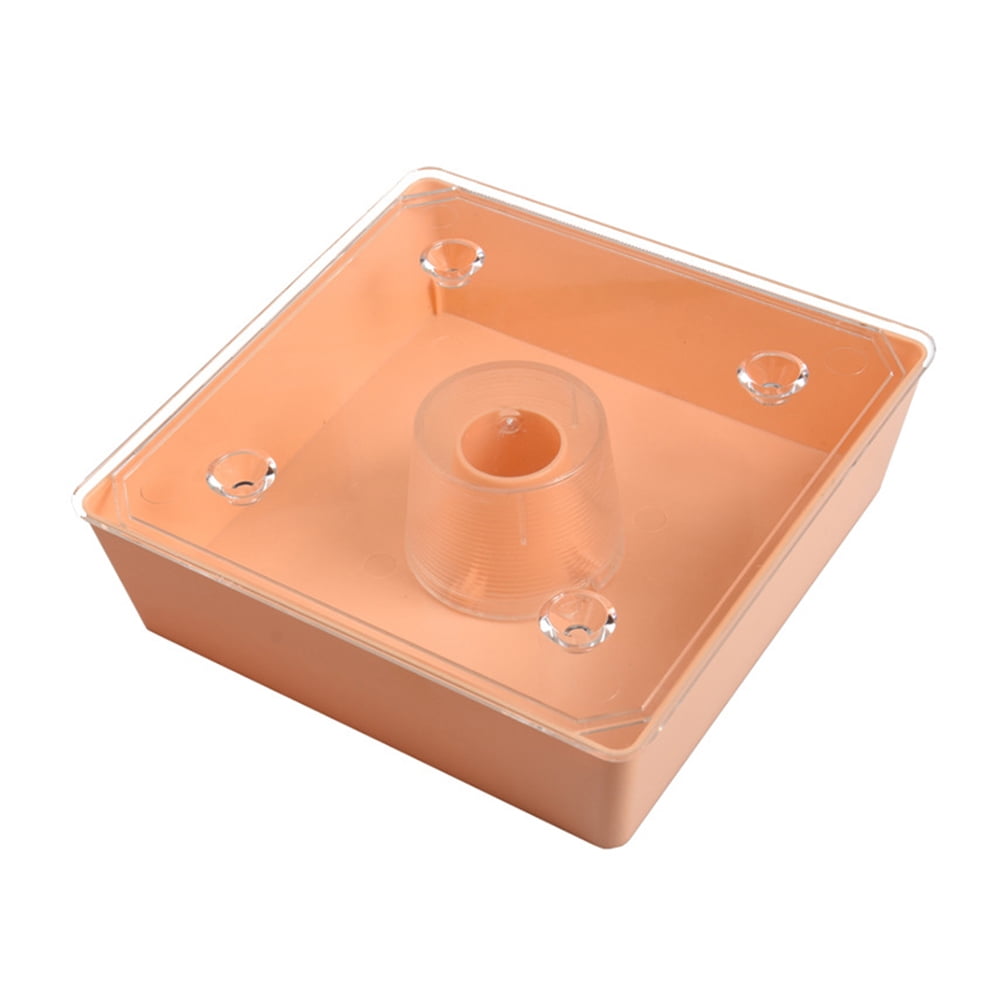 NICEXMAS Outdoor Bee Food Feeder Beehive Dish Drinking and Eating ...