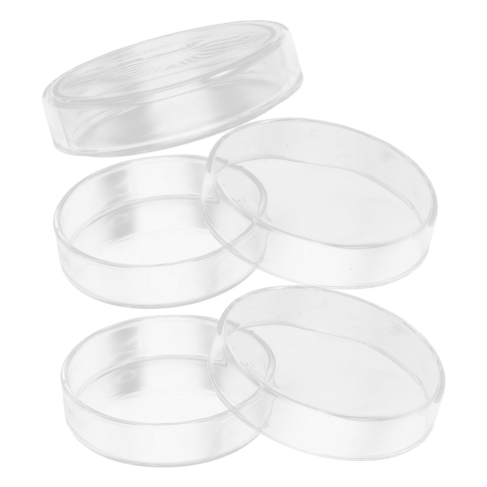 NICEXMAS Round Glass Petri Dishes for Science Exploration 5Pack ...