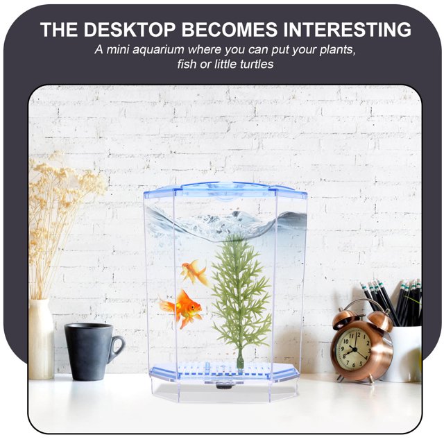 NICEXMAS Small Blue Plastic Fish Tank for Desktop Landscape and Fish ...