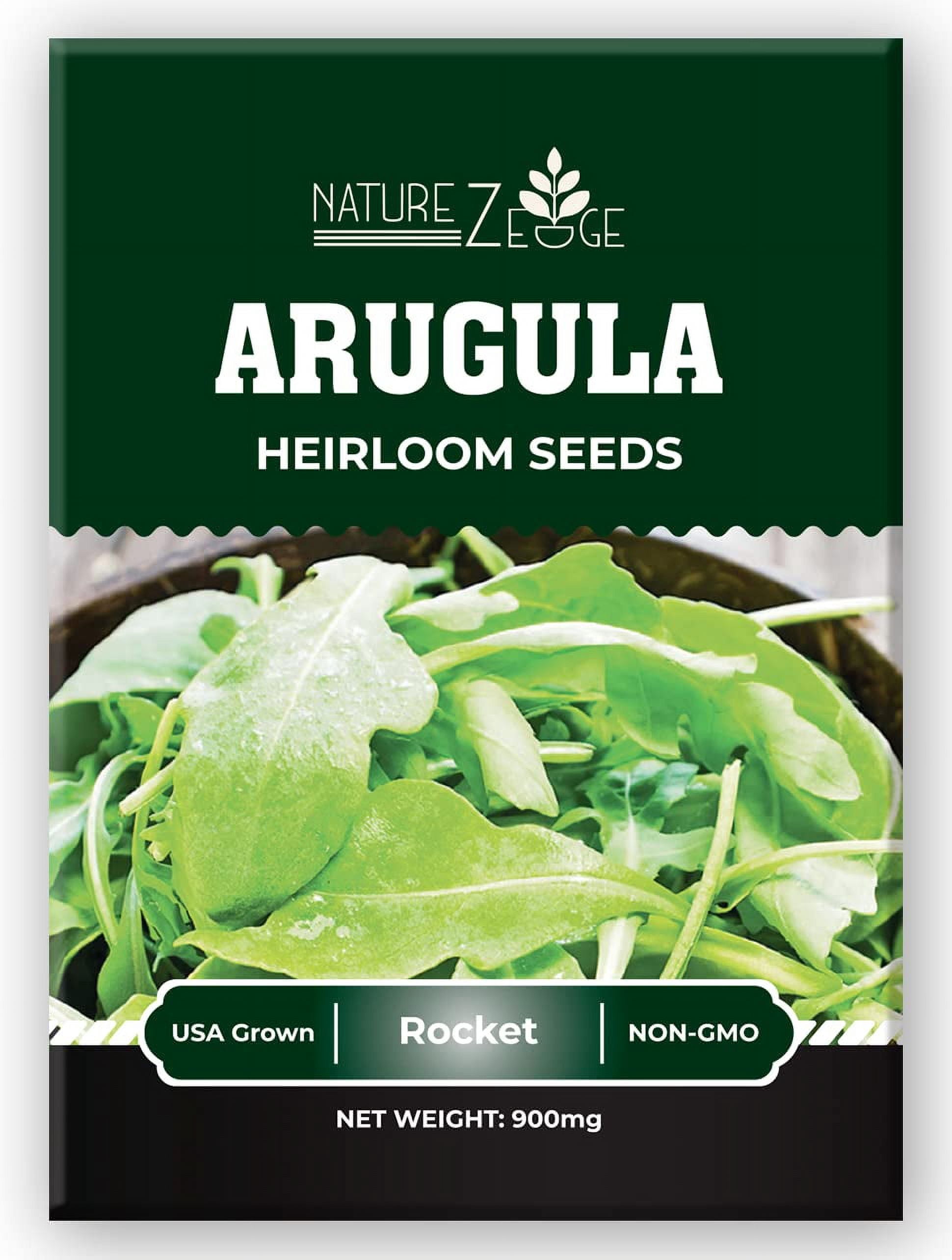 NIKA SEEDS - Seeds Vegetable Chinese ITL1 Cabbage Bok Choy (Pak Choi ...
