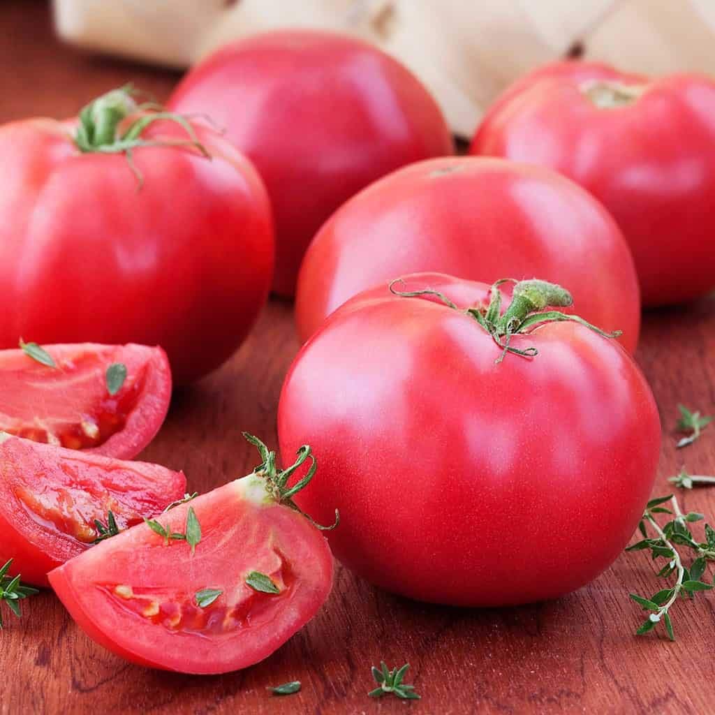 NIKA SEEDS - TWE5 Seeds Vegetable Tomato Glory Red - 25 Seeds - Walmart.com