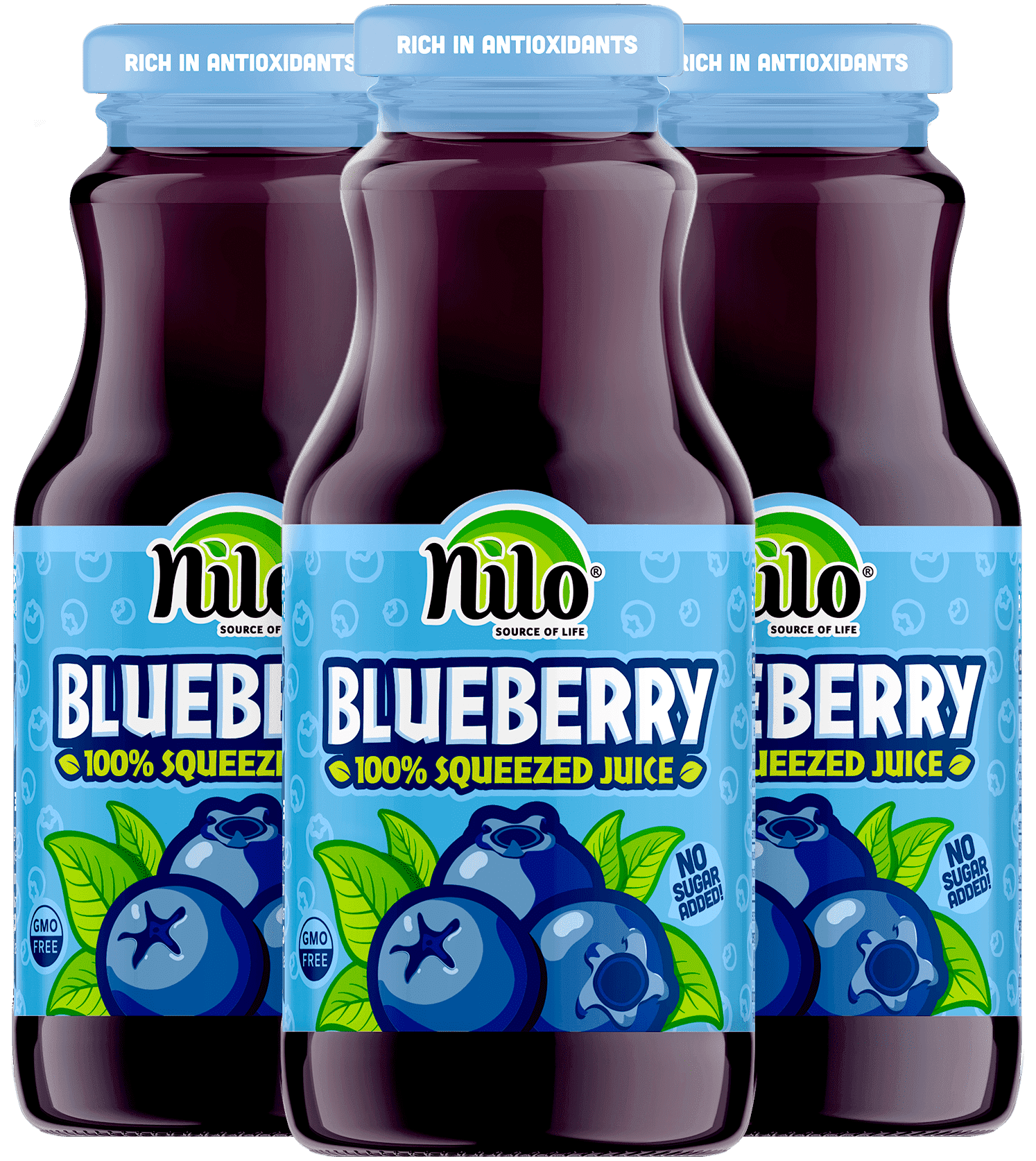 NILO Blueberry Juice | 100% Squeezed Wild Blueberry Arandano | NO Sugar ...