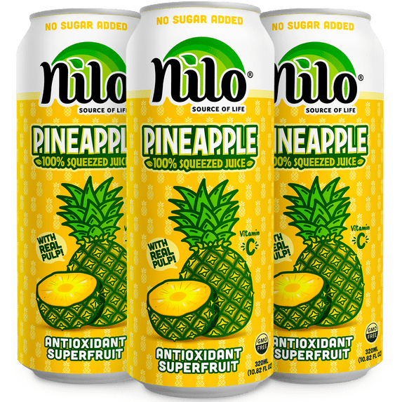 NILO Pineapple Juice, 10.8 oz, Pack of 12, Not From Concentrate ...