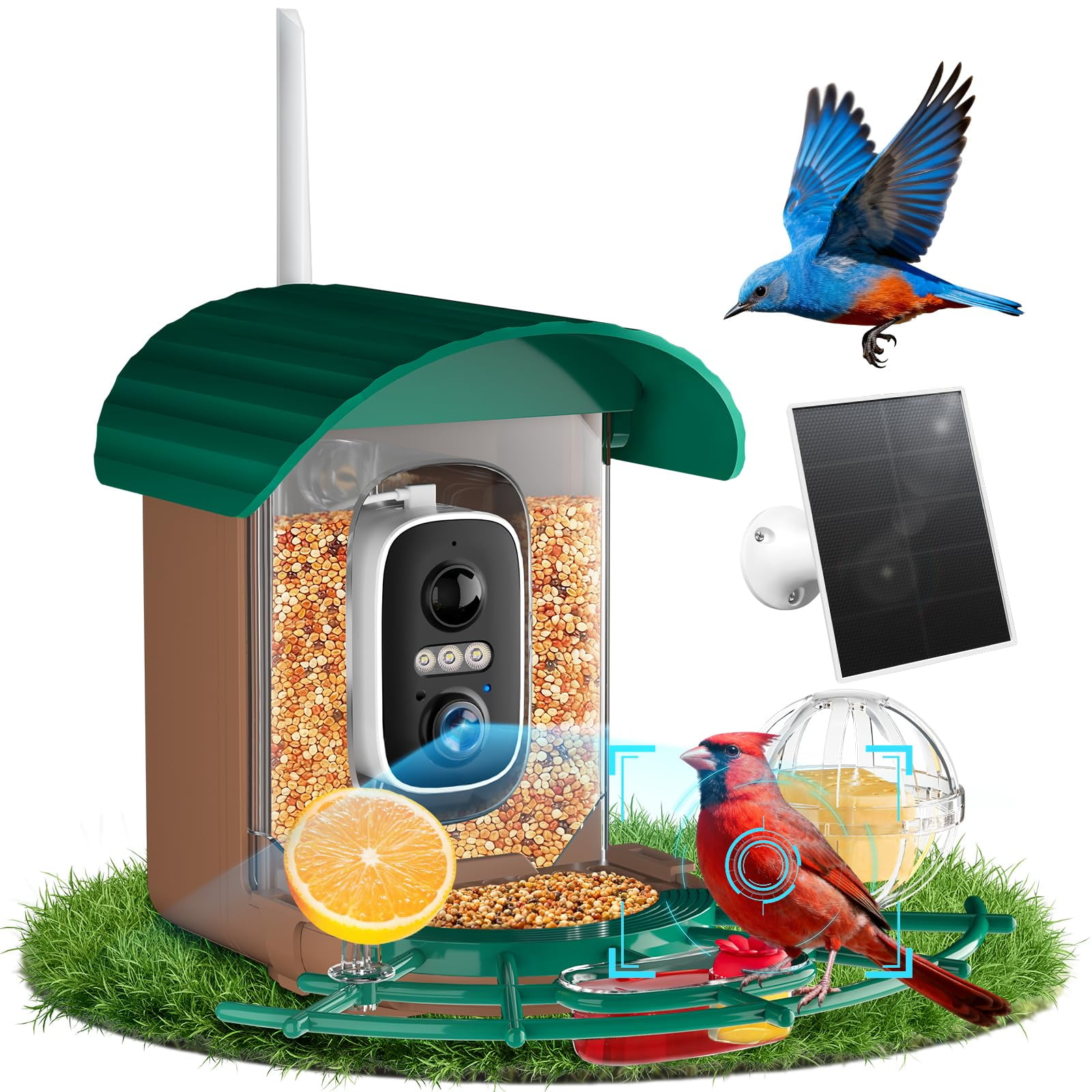 NIORSUN Smart Bird Feeder with Camera Solar Powered, HD Video AI ...