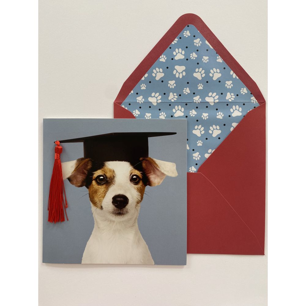 NIQUEA.D, Pup in Grad Hat Graduation Card - Walmart.com