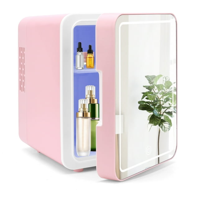 NISHCON LED Lighted Mini Fridge with Mirror Door, Beauty Makeup ...