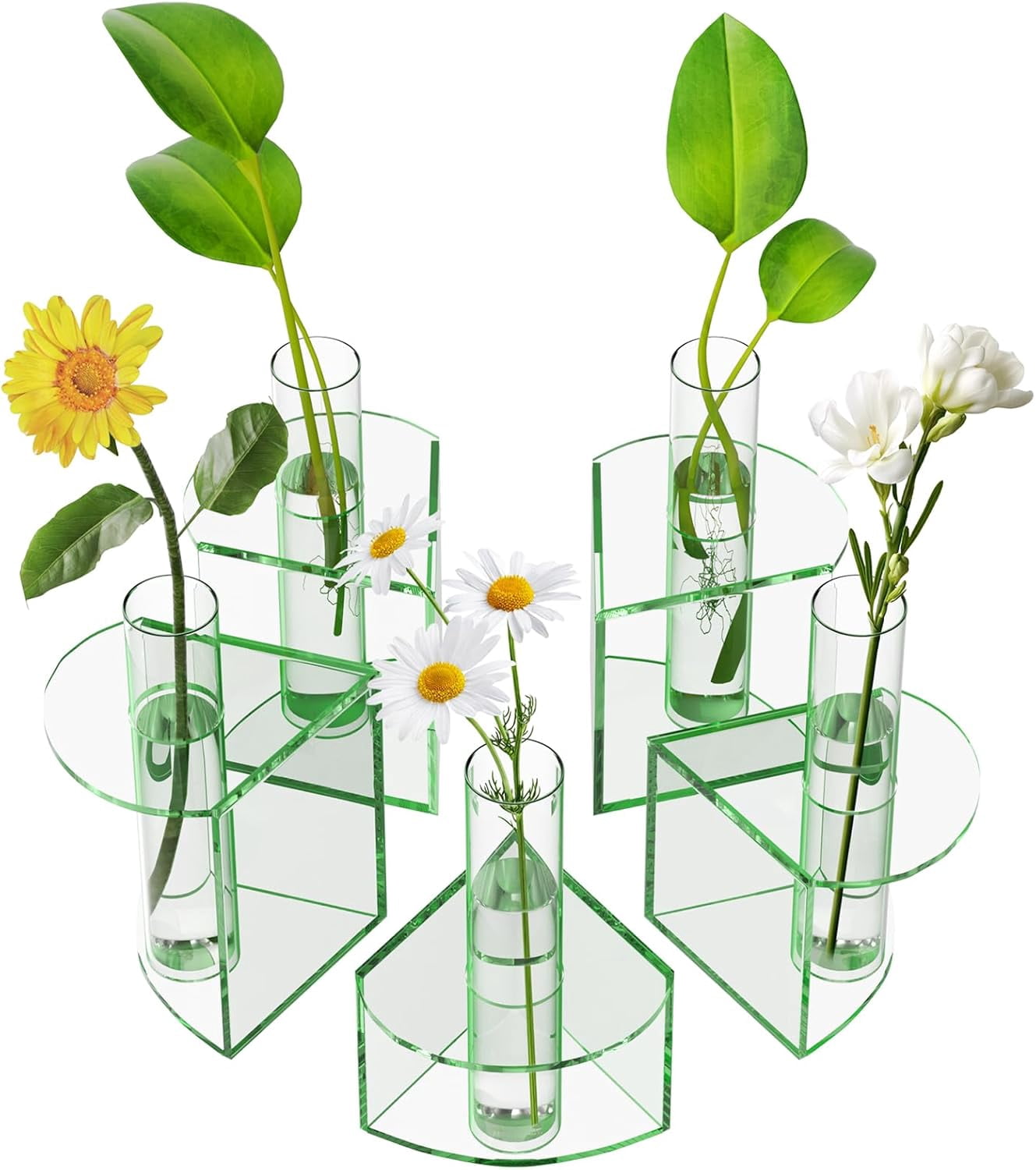 NIUBEE Plant Propagation Station Indoor: Petals Shaped Plant Terrarium ...