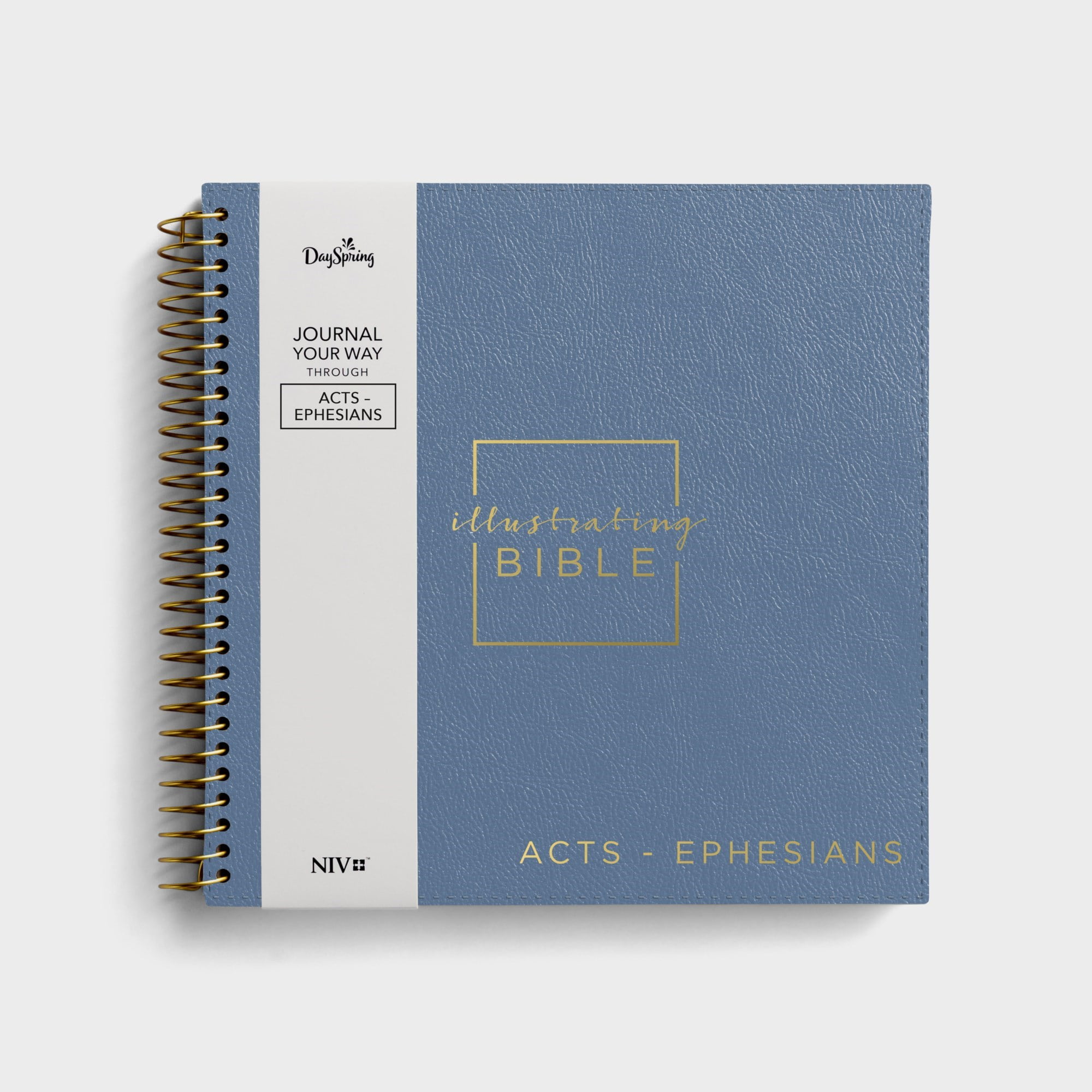 NIV Illustrating Bible-Acts-Ephesians-Blue Faux Leather - Walmart.com