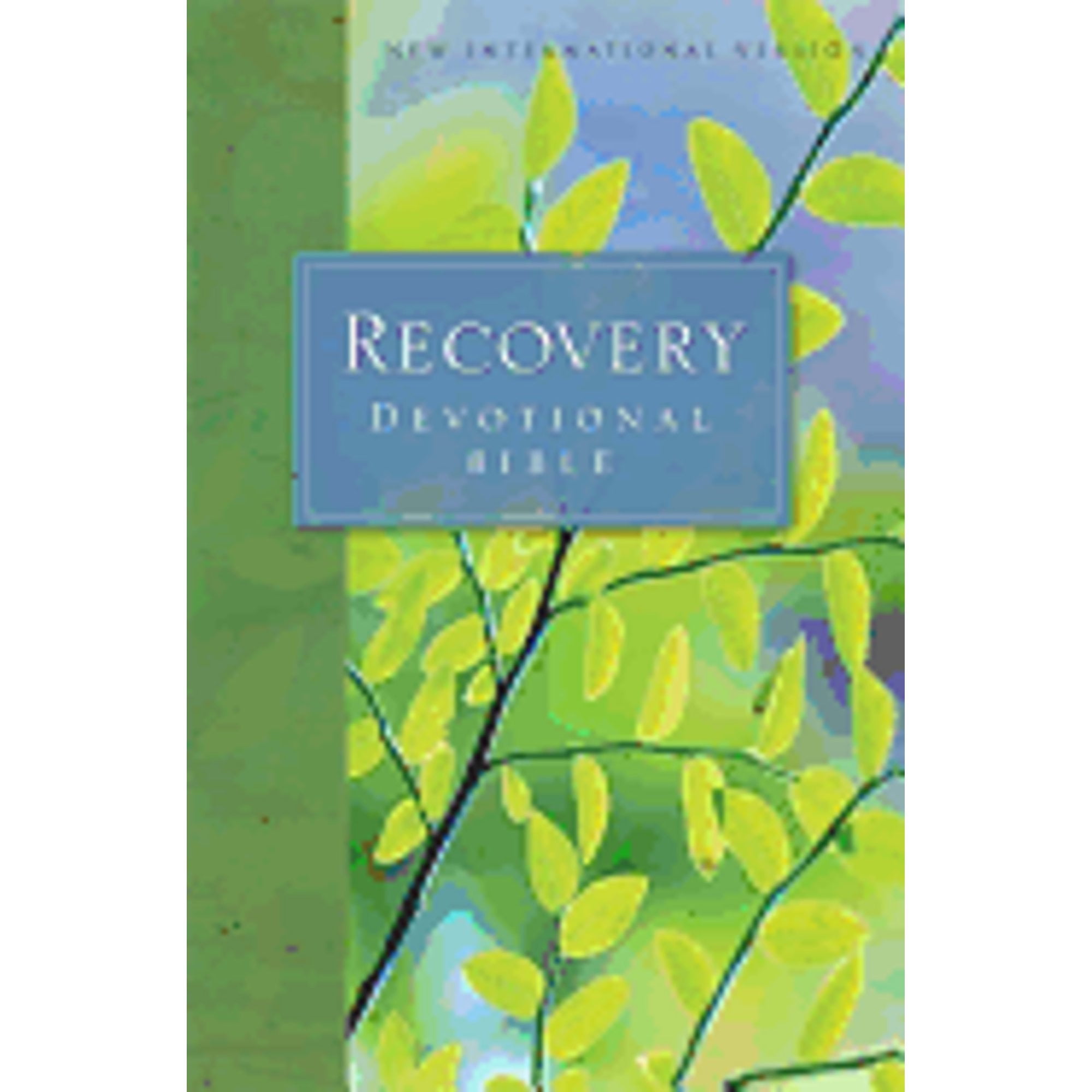 Na Daily Recovery Readings