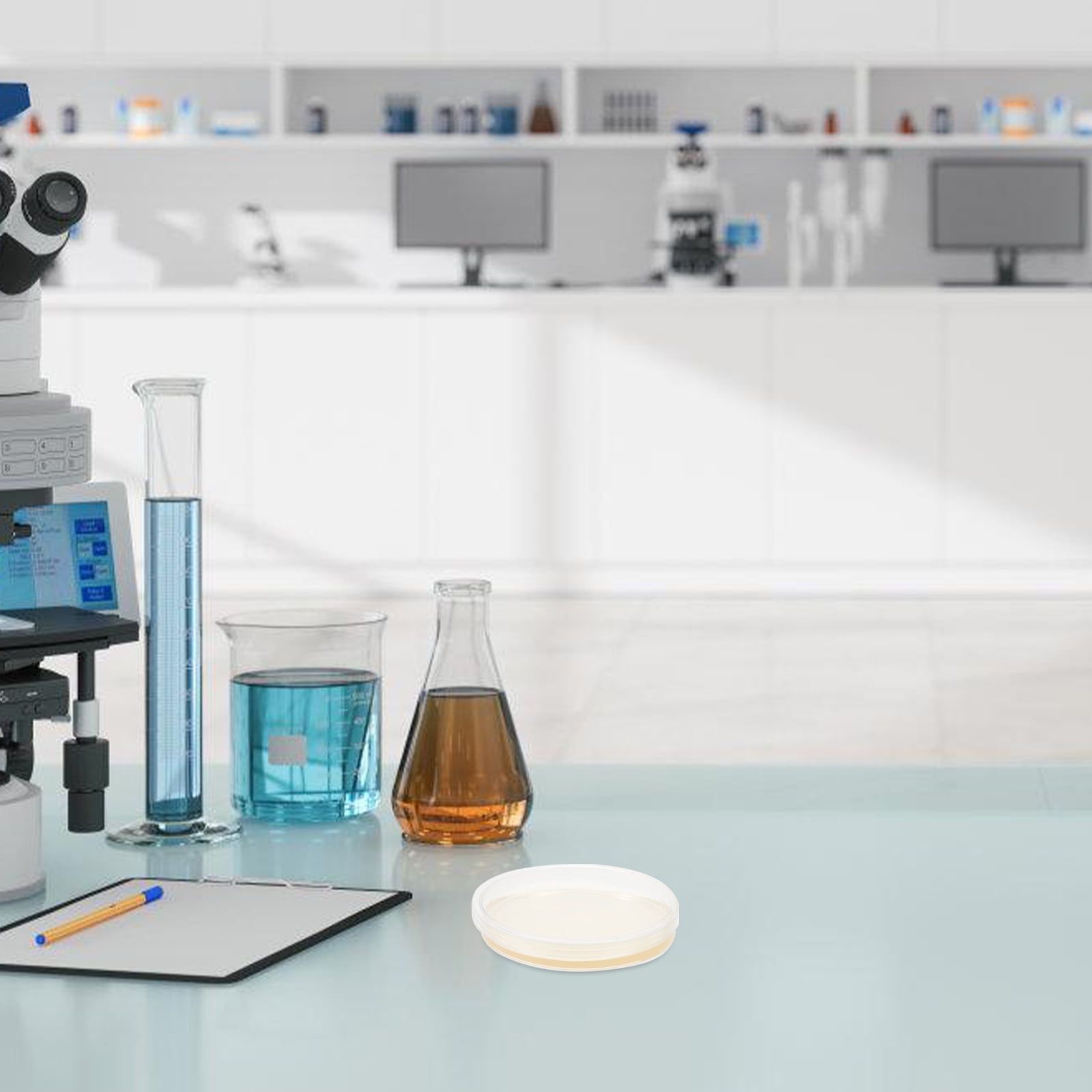 NIYANGLE 10Pcs Round Agar Plates for Petri Dishes Science Projects 3 ...