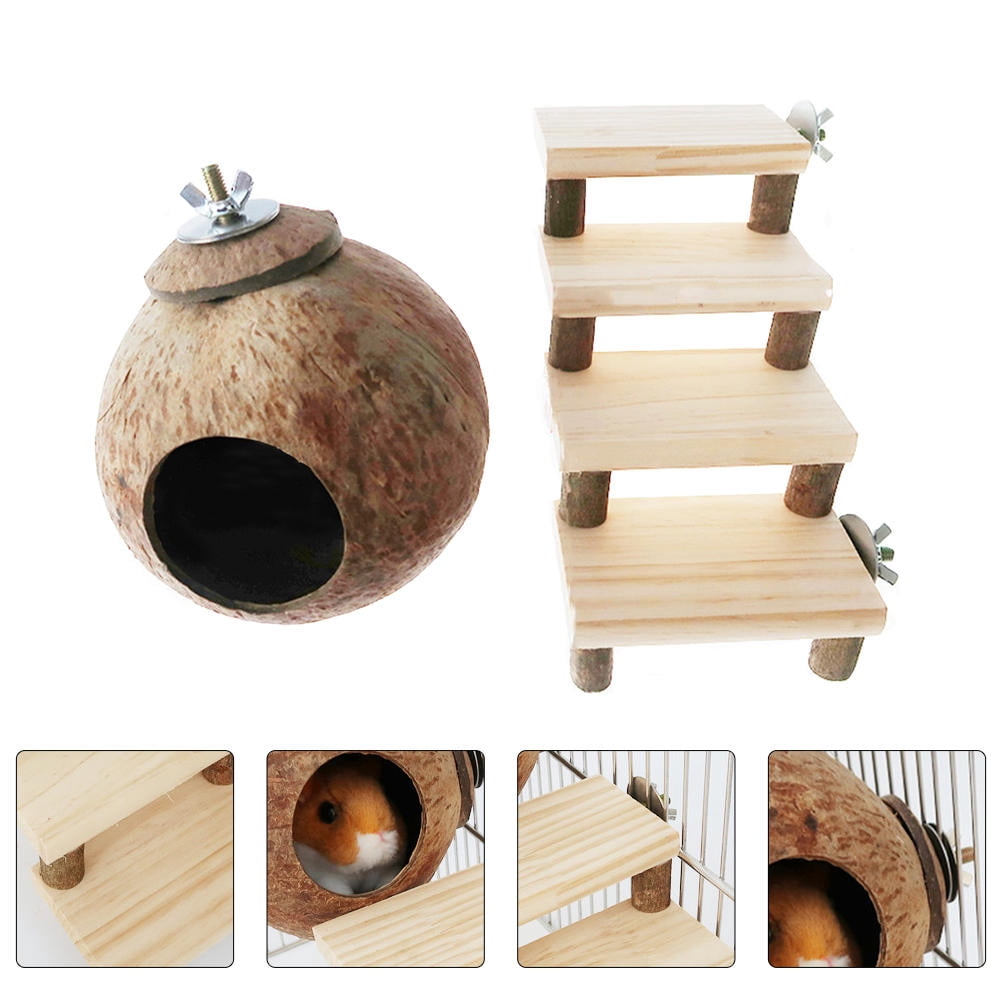 NIYANGLE 2Pcs Coconut Shell Pets Nest Toy for Hamster Indoor Play with ...