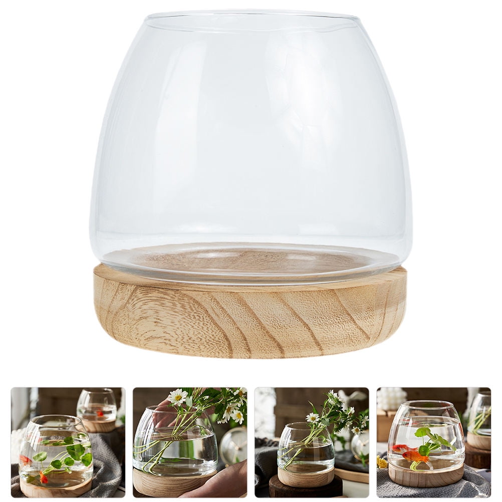 NIYANGLE Planter Gardening Container Transparent 1 Set - Walmart.com