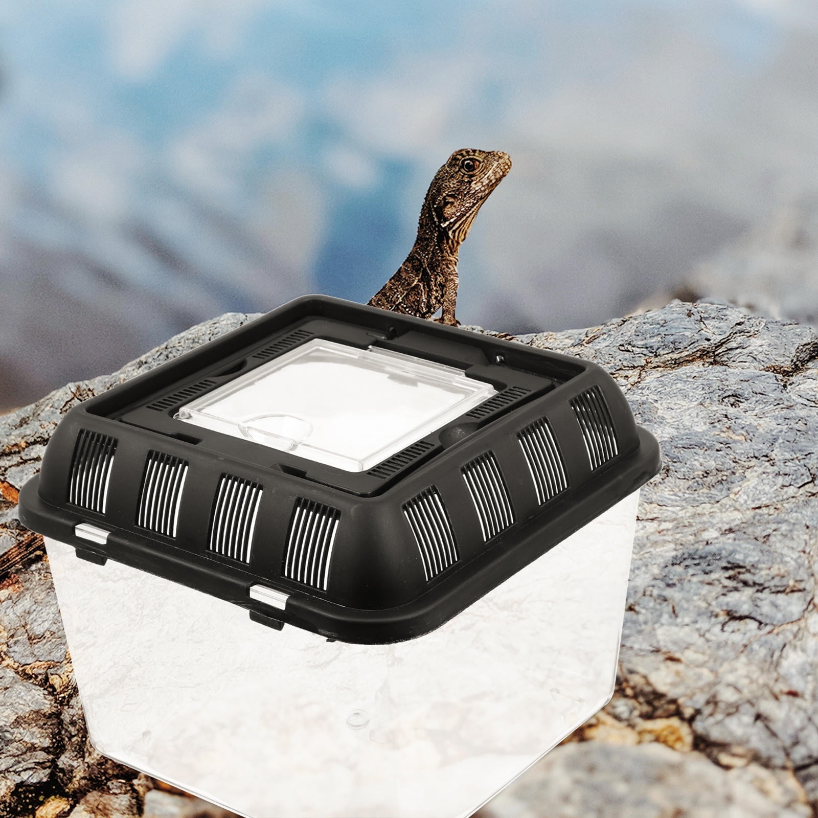 NIYANGLE Plastic Reptile Container 1Set Ventilation and Feeding Box for ...