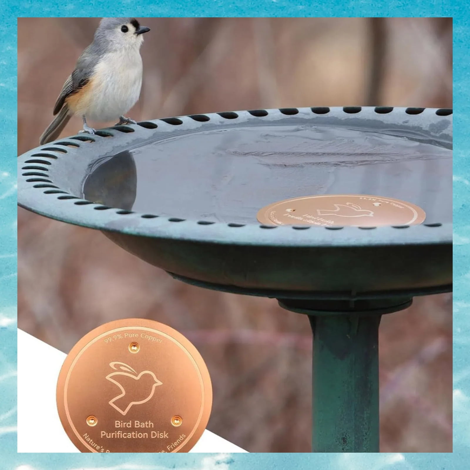 NIZEMNAN Bird Bath Copper Disk, Bird Bath for Outside 4" Diameter 99.9% Pure Copper Cleaning ...