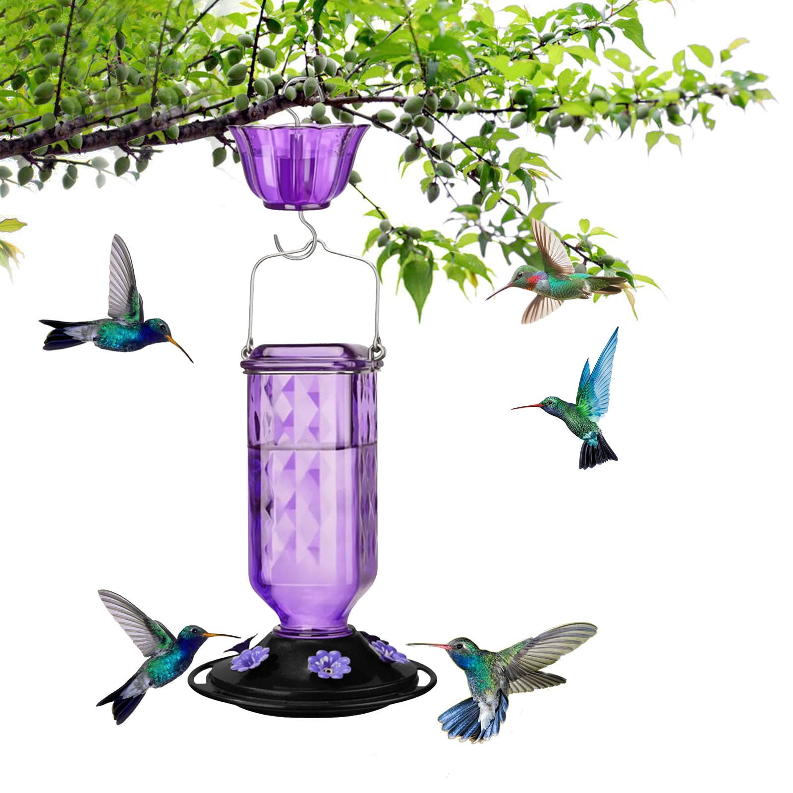 NKOOGH Hummingbird Feeders for Outdoors Hanging 24 Ounce Hummingbird ...