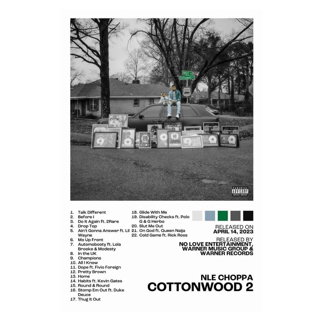 NLE Choppa Cottonwood Album Cover Music Poster Rap Home Decor For ...
