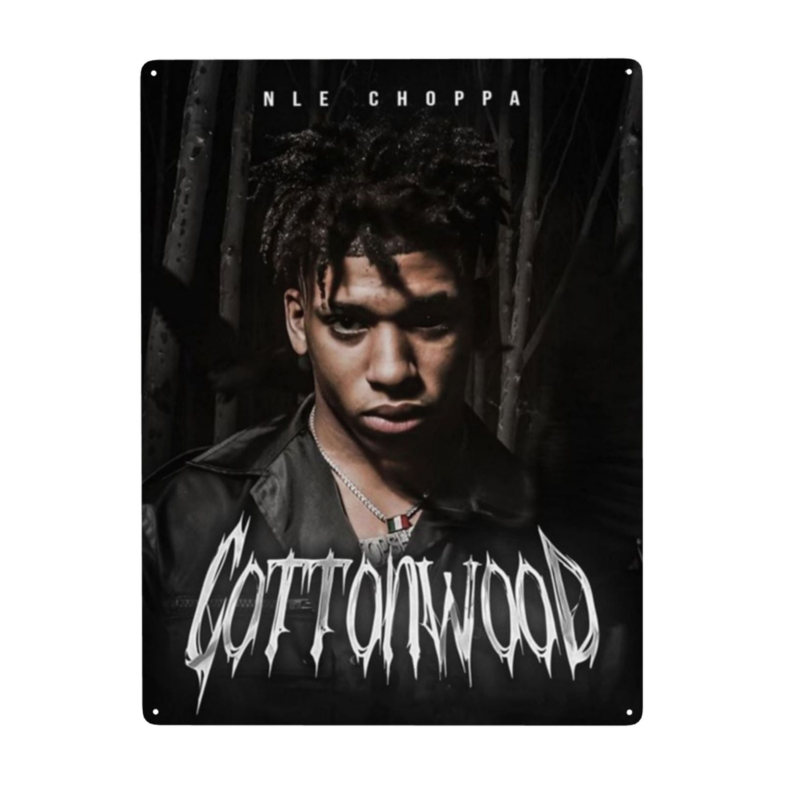 NLE Choppa No Love Entertainment Metal Sign Decor 30x40cm Wall Art Sign ...
