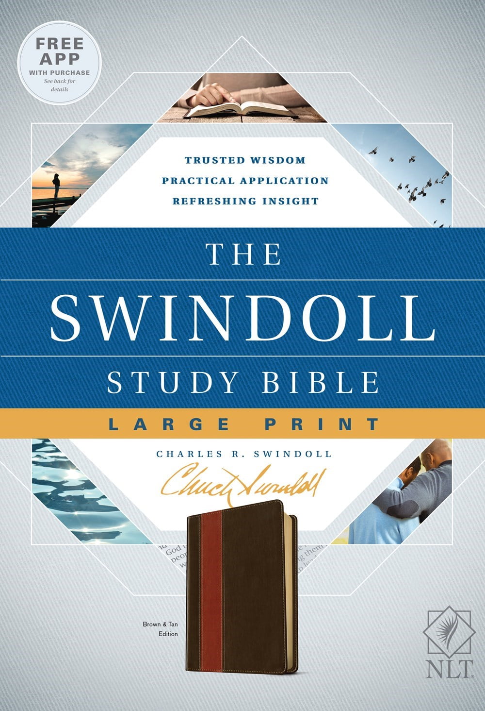 NLT Swindoll Study Bible/Large Print-Brown/Tan LeatherLike - Walmart ...