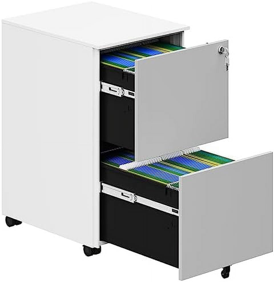 NLTBONNIE 2-Drawer File Cabinet with Lock 18.9\u201D Deep Office Filing ...