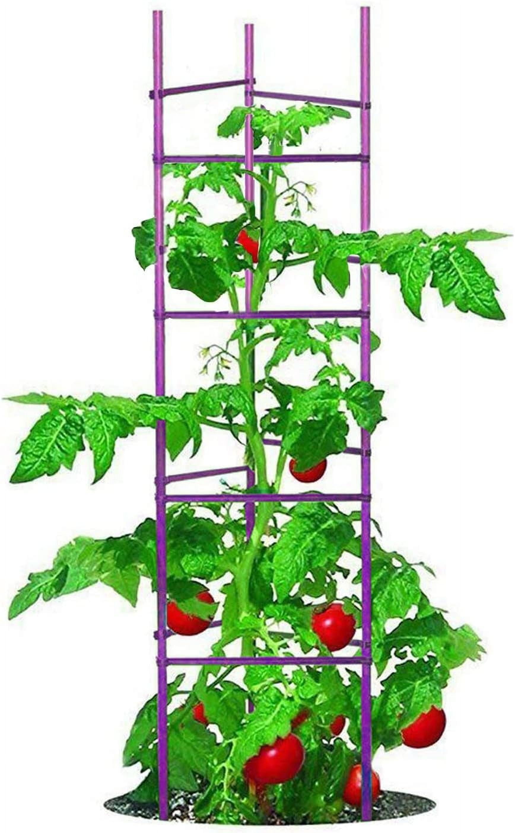 NO Splicing - 5ft Tall Tomato Cage 6-Pack Large Tomato Stakes Garden ...