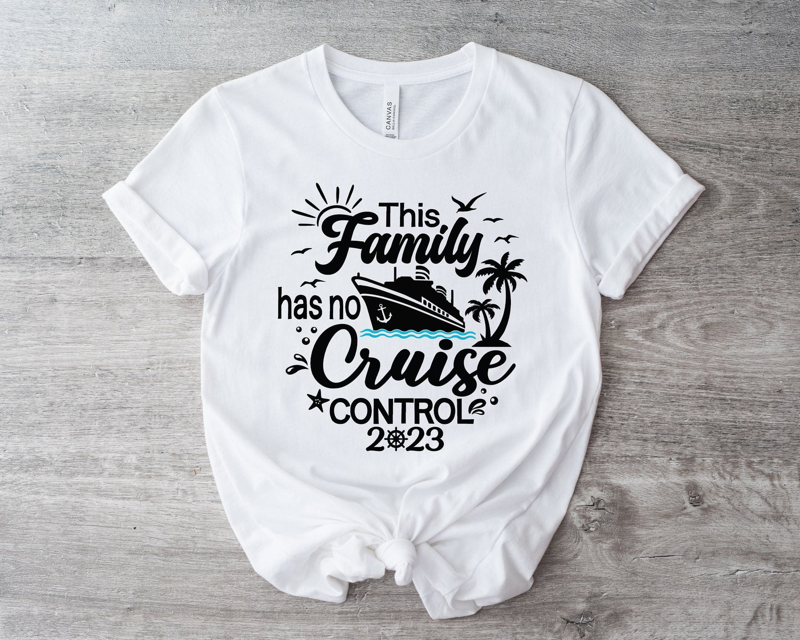NODB This Family Has No Cruise Control, Cruise Tshirt, Family Matching ...