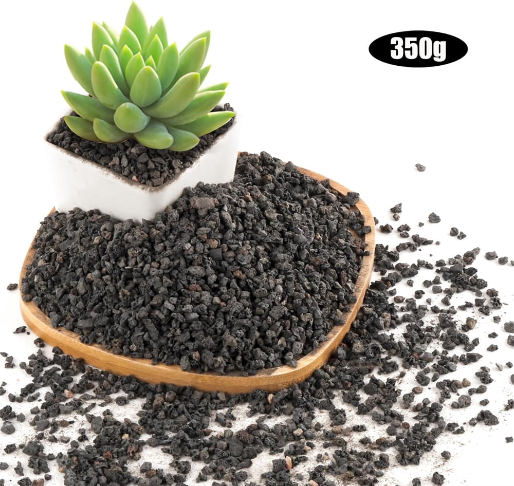 NOGIS 0.77lb Black Lava Rocks for Plants, Volcanic Rock Horticultural ...