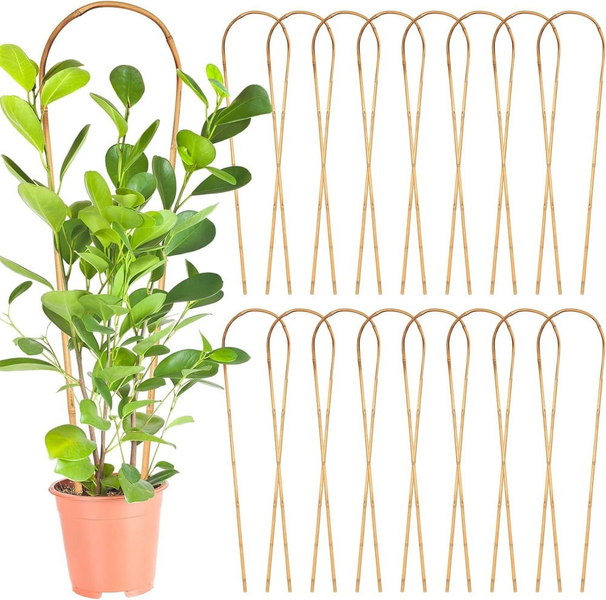 NOGIS 10 Pcs 16inch Natural U-Hoops Bamboo Trellis Garden Arch Trellis ...