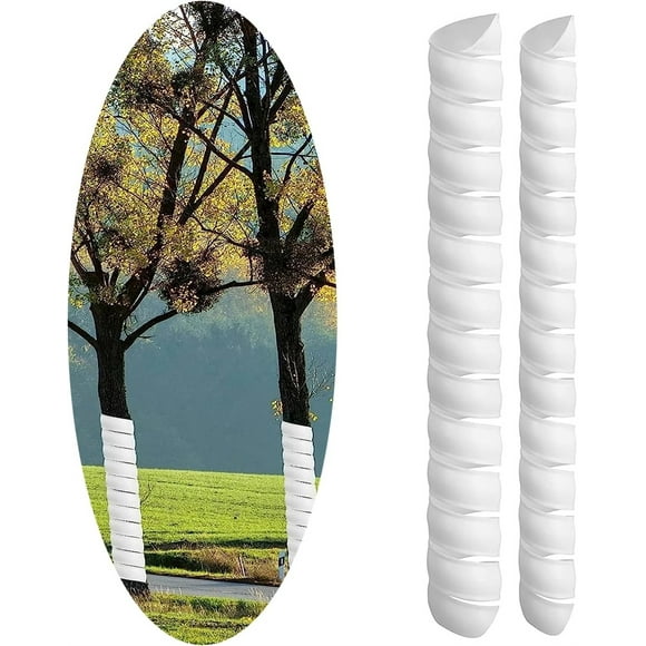 Spiral Tree Guards