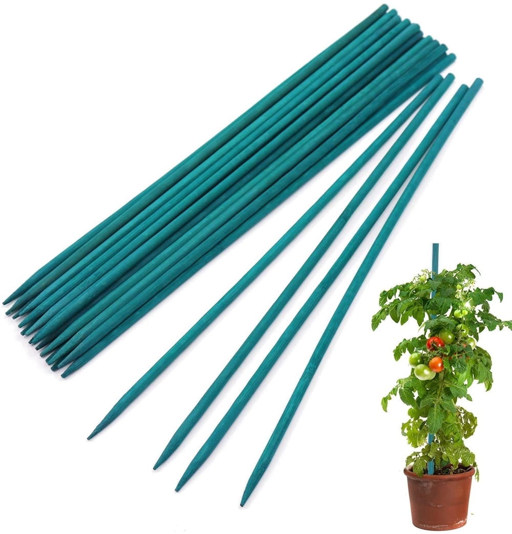 NOGIS 20 Pcs Bamboo Plant Stakes, Sturdy Garden Sticks for Indoor and ...