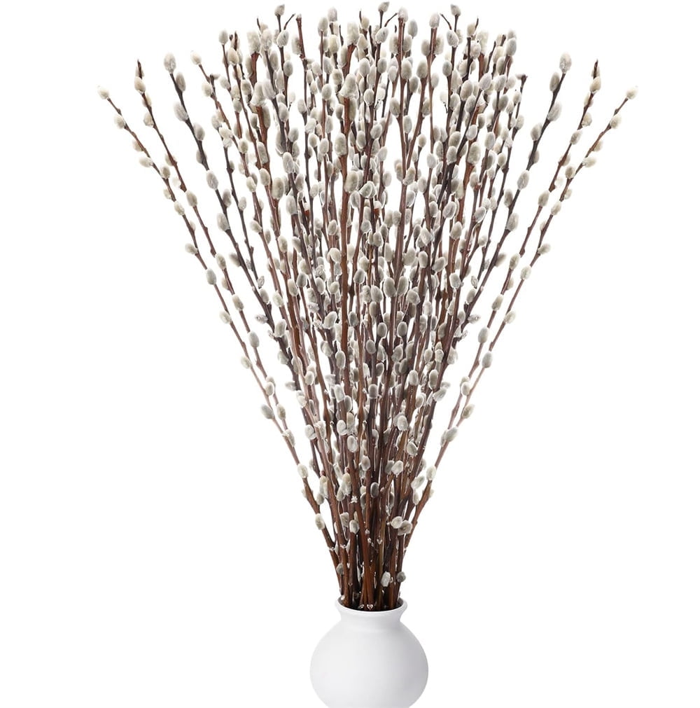 NOGIS 20 Stems Real Dried Pussywillow Preserved Greenery Branches for ...
