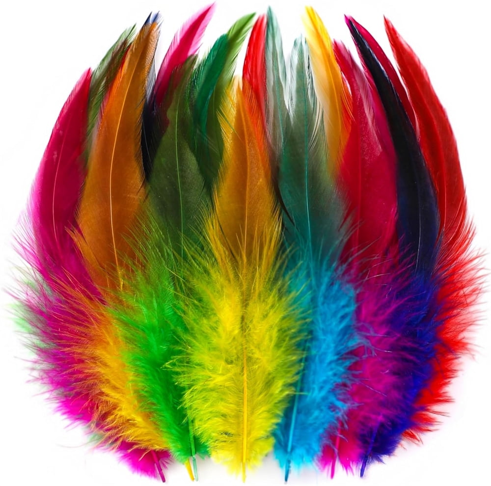 NOGIS 200pcs Colorful Feathers Mix-Colors Craft Feathers Bulk Chicken ...