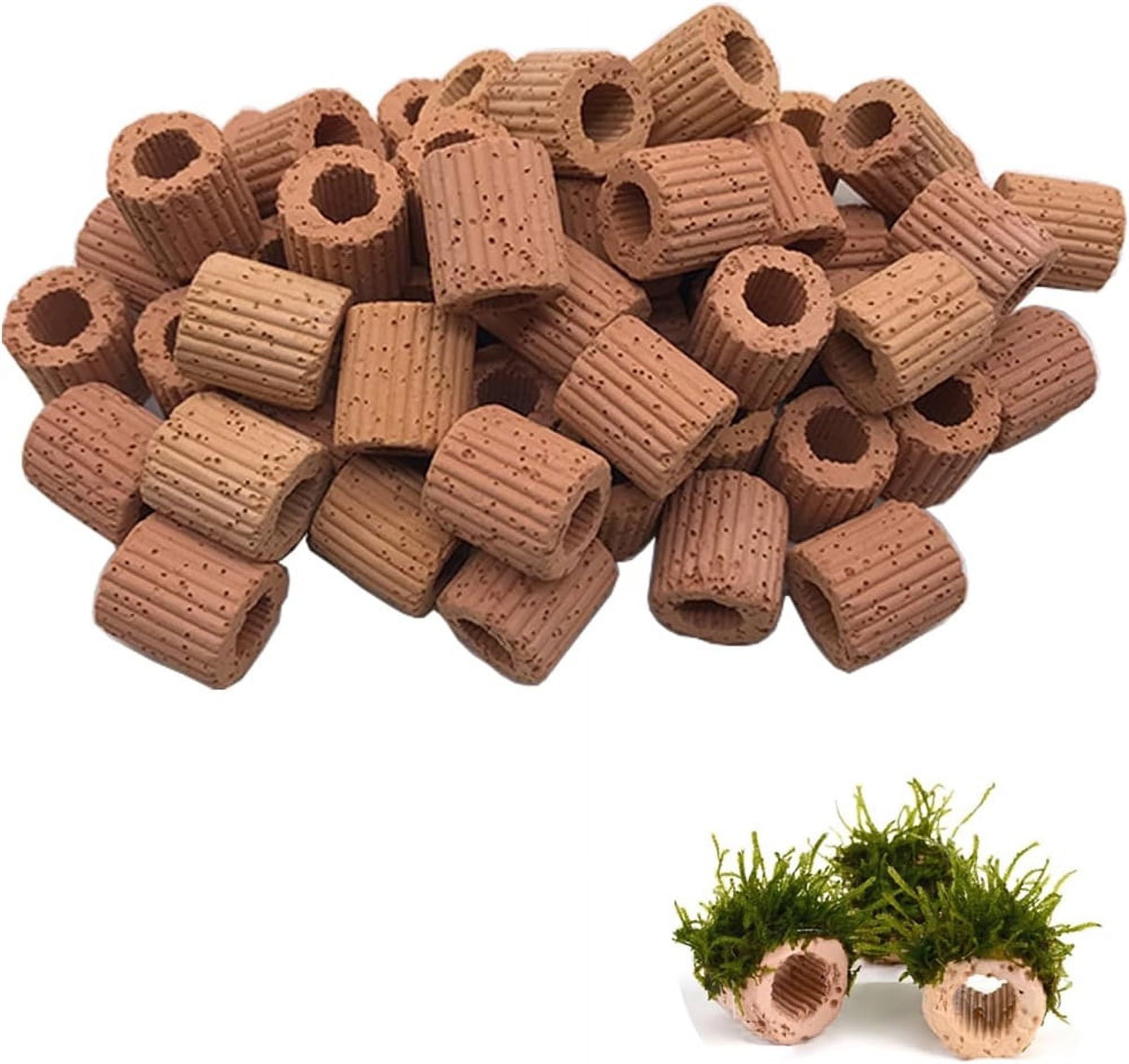 NOGIS 25Pcs Aquatic Water Plant Fixed Rings, 25mm Aquarium Water Plant ...