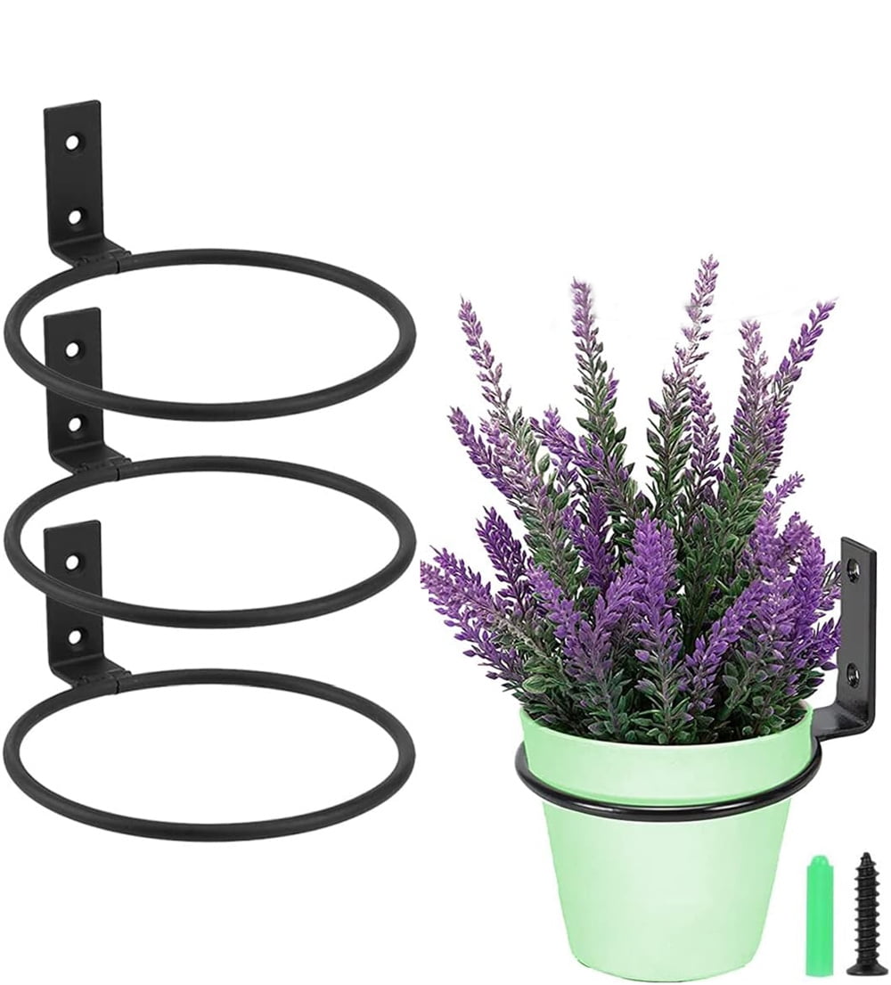 NOGIS 3 Pack 8 Inch Plant Holder Ring Plant Wall Mount Flower Pot ...