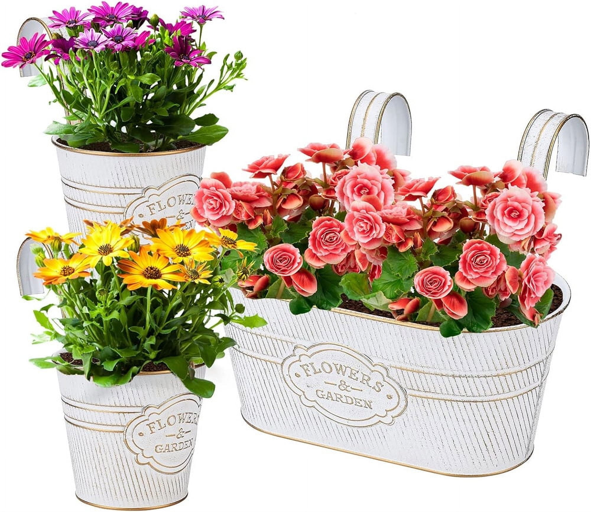 NOGIS 3 Pack Vintage Metal Iron Wall Hanging Flower Pots, Rustic ...