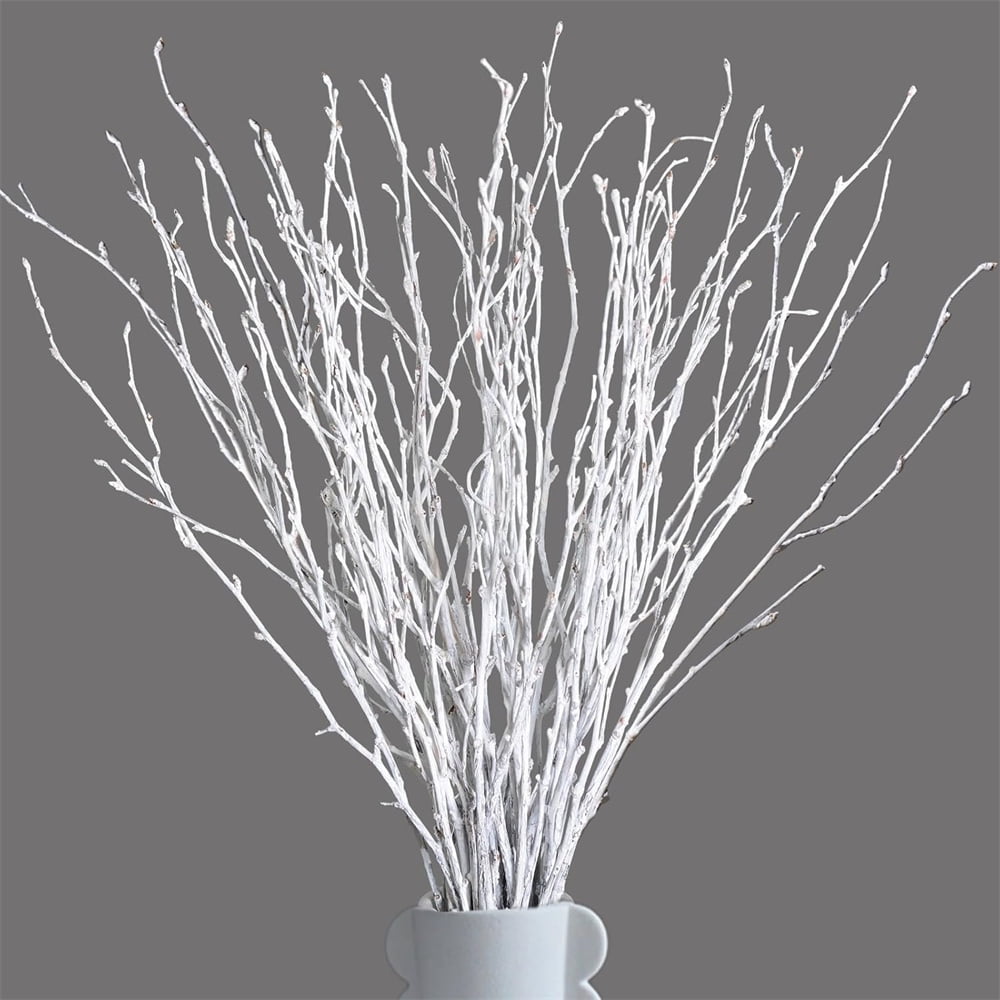 NOGIS 30Pcs Dried White Birch Twigs Branches - 100% Natural 20” Painted ...