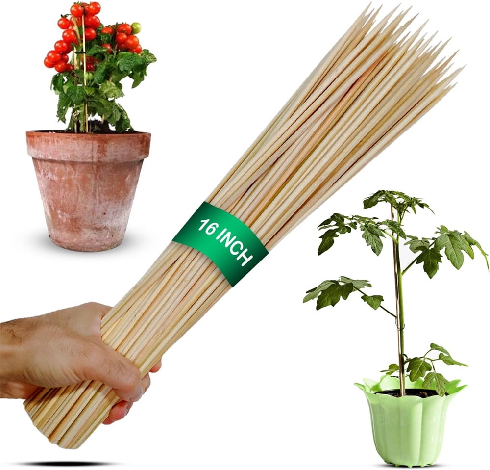 NOGIS 45 Pack 16 Inches Bamboo Plant Stakes, Bamboo Plant Sticks, Plant ...