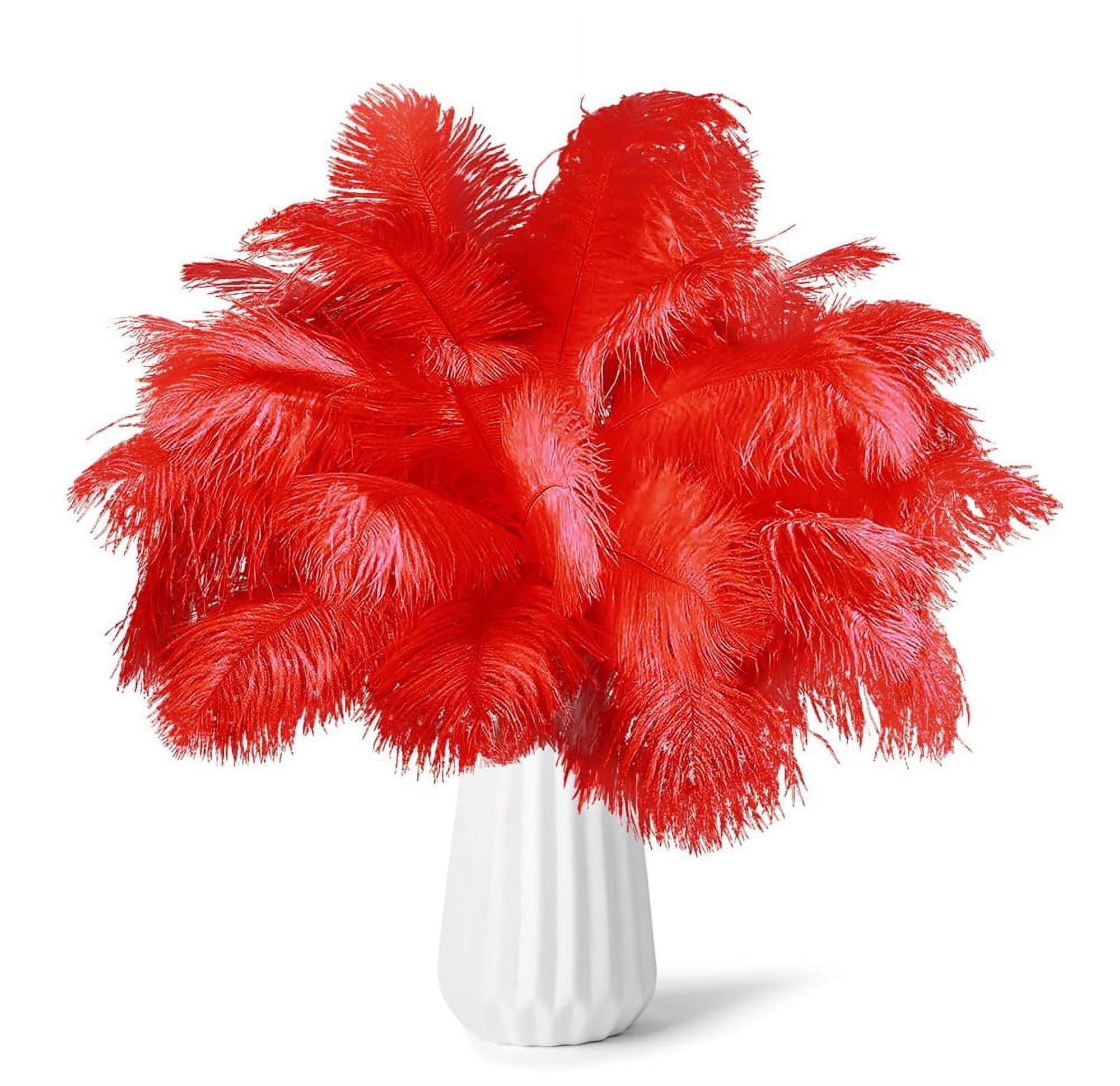 NOGIS 8-10 inch (20-25cm) Natural Ostrich Feathers for Wedding ...