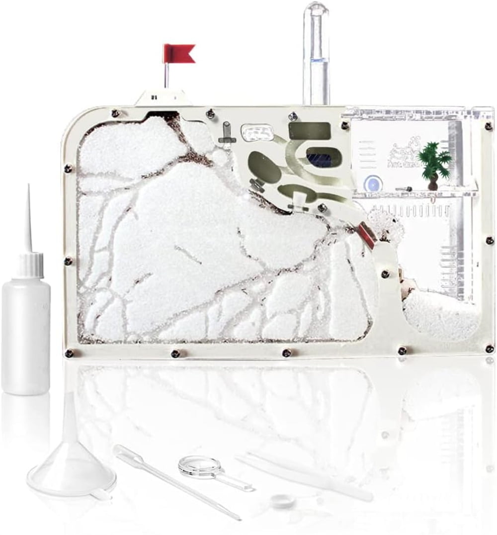 NOGIS Ant Farm Castle, Ant Nest Farm for Live Ants, Ant Colony ...