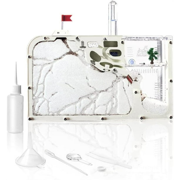 NOGIS Ant Farm Castle, Ant Nest Farm for Live Ants, Ant Colony ...