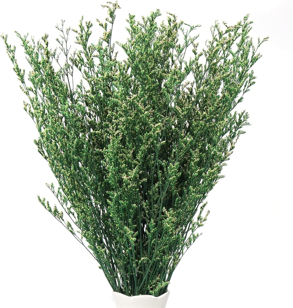 NOGIS Dried Preserved Caspia Limonium Statice Flower Bouquets 15.7 inch ...