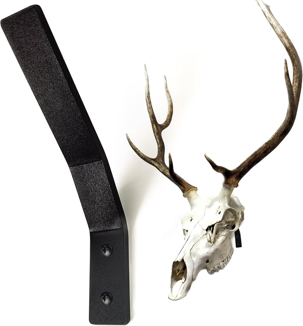 NOGIS European Mount Skull Hanger, Large Euro Mount Deer Skull Hangers ...