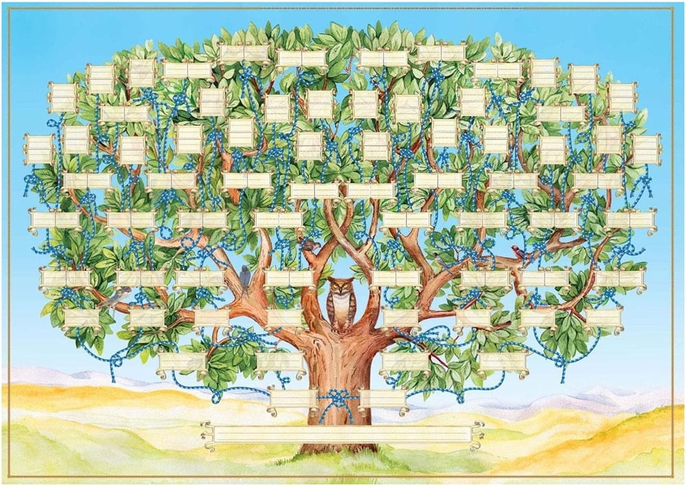 NOGIS Family Tree Chart to Fill in - 15.75x23.62inch 6 Generation ...
